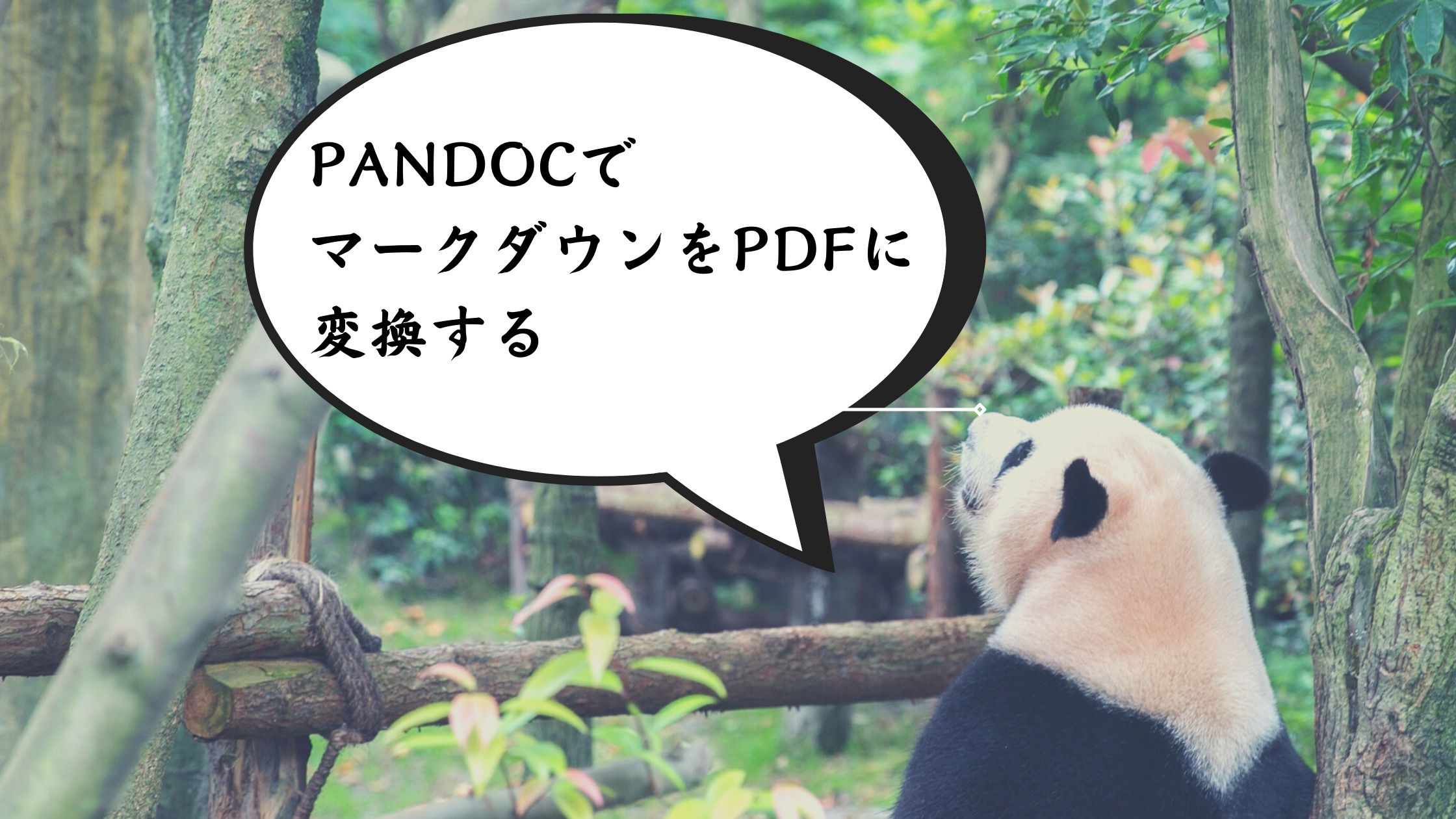 Pandoc markdown word pdf 
